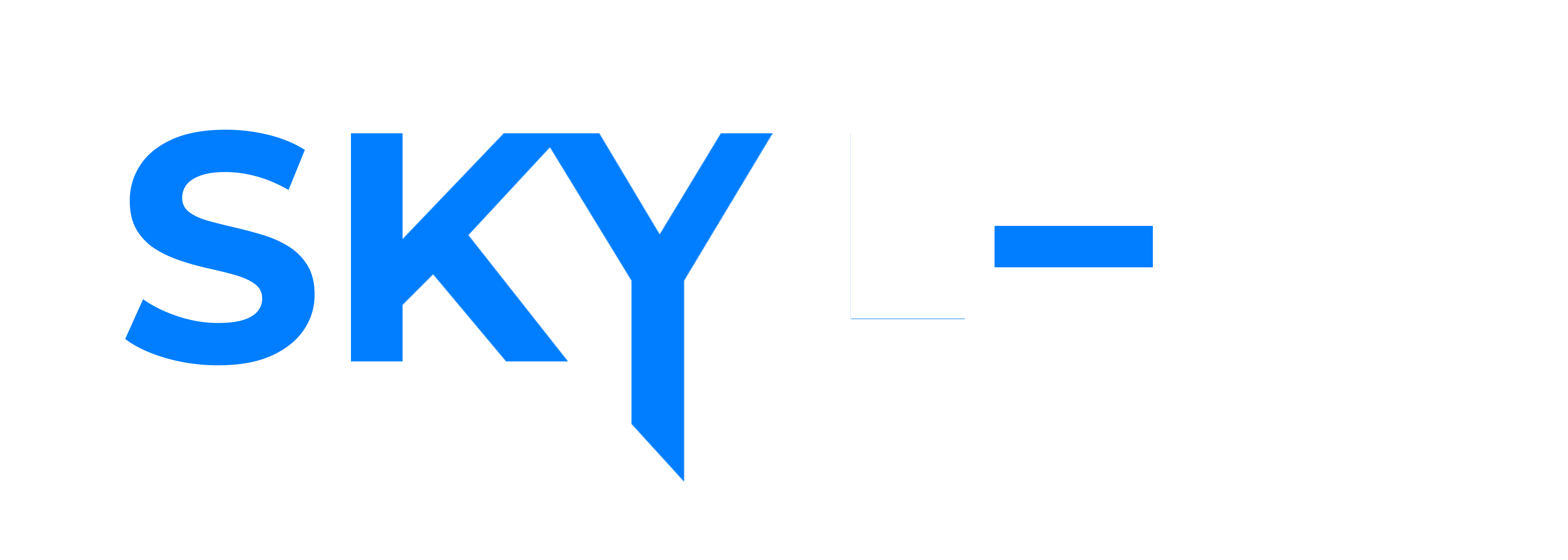 Skyler | IT Consulting Services | Immigration Services